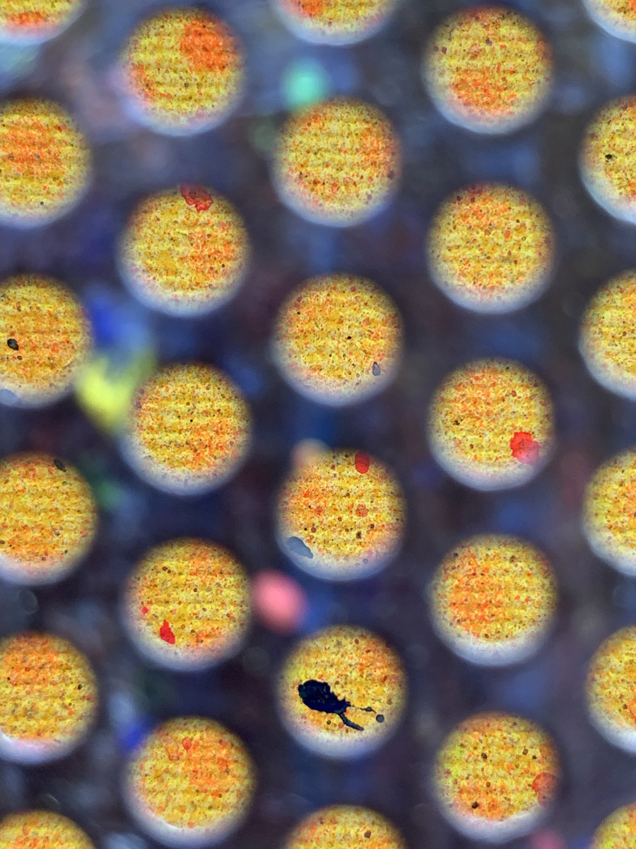 PERCEZIONI Bernardo Peruta - Galleria Gagliardi