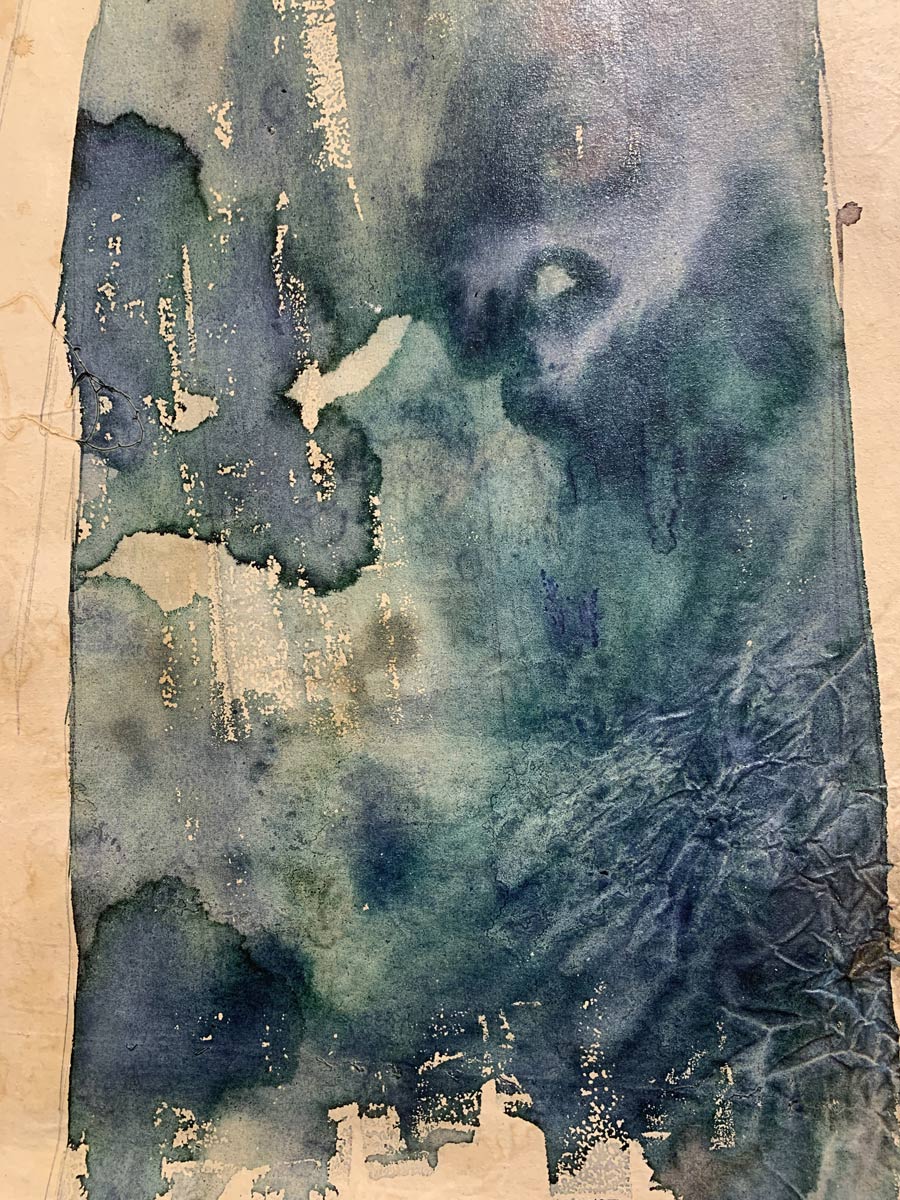 SWEET REEF Valeria Patrizi | Galleria Gagliardi